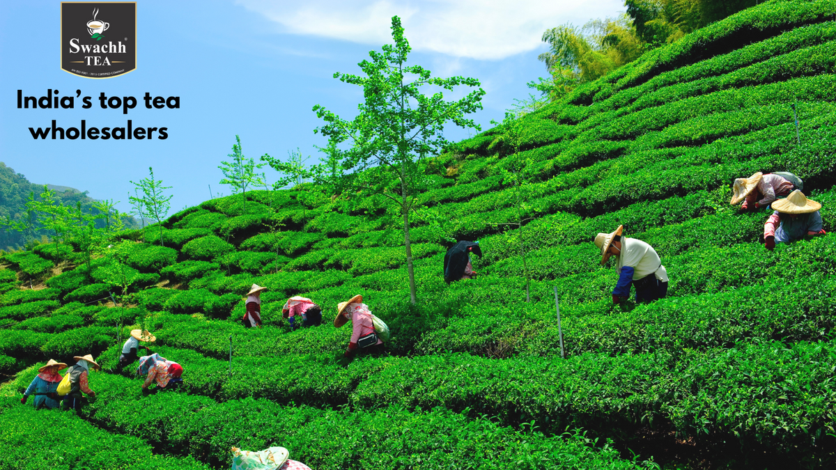 Bulk tea|Wholesale tea|top tea wholesalers|Wholesale loose leaf tea|